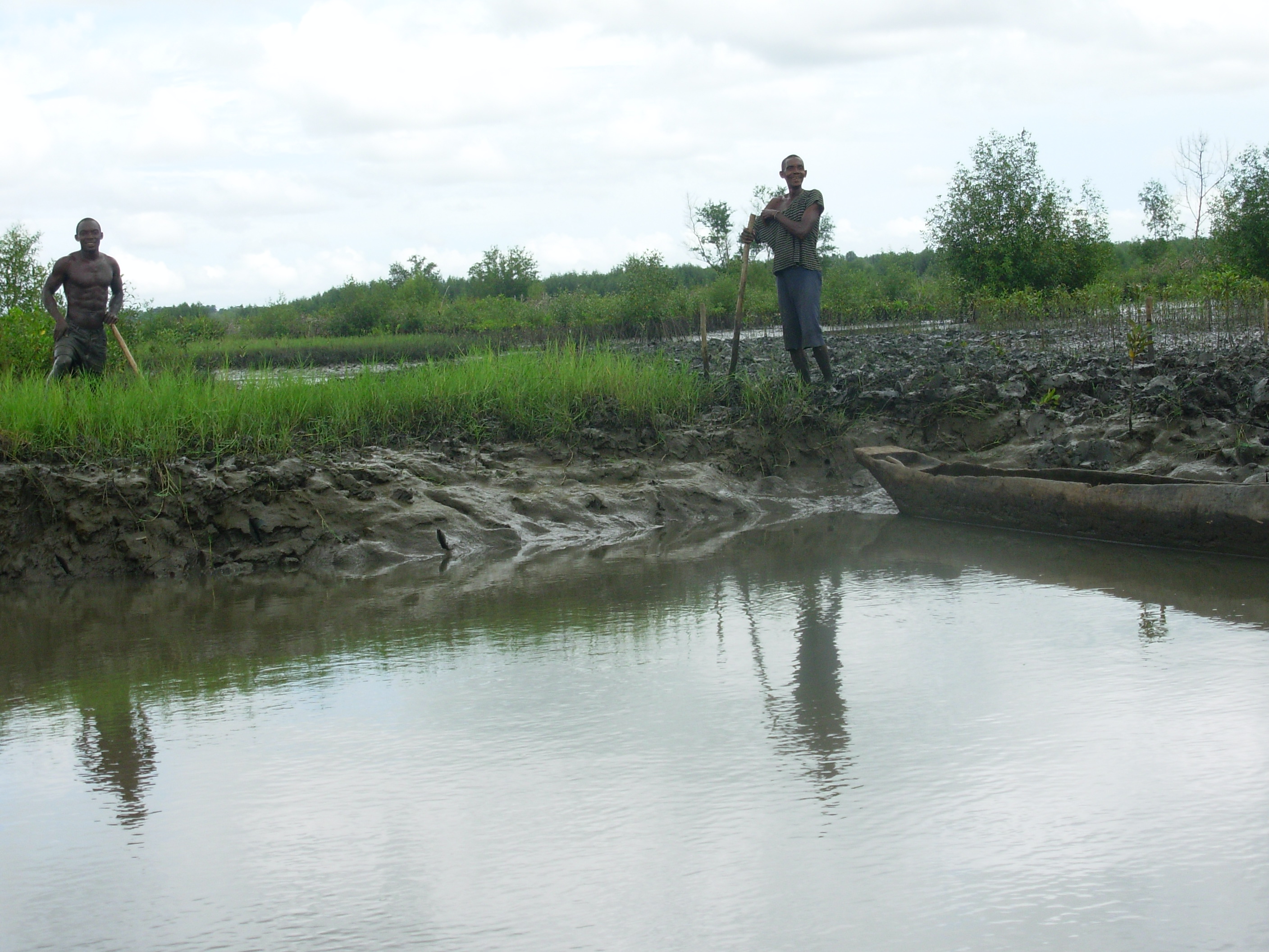 preparing rice swamp | Sherbro Foundation